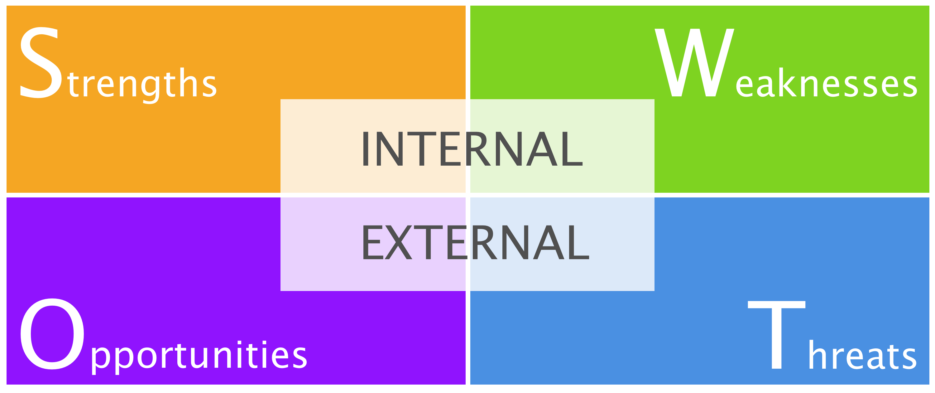 SWOT – Nic