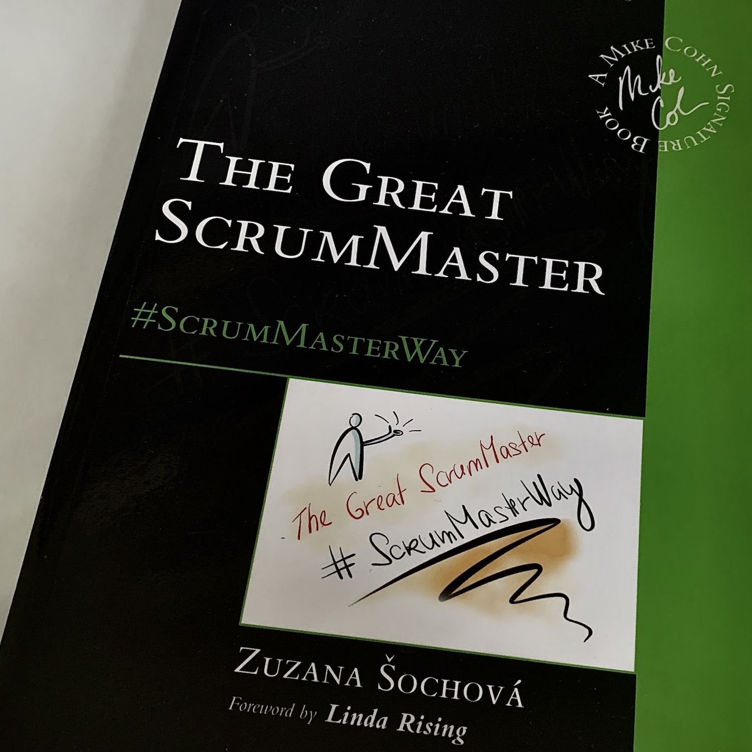 About “The Great ScrumMaster” – Nic